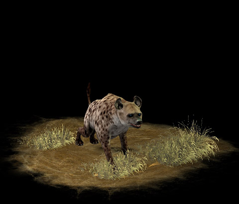 Hyena - iClone/Stage - Reallusion Content Store