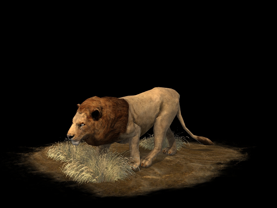 Lion - iClone/Stage - Reallusion Content Store