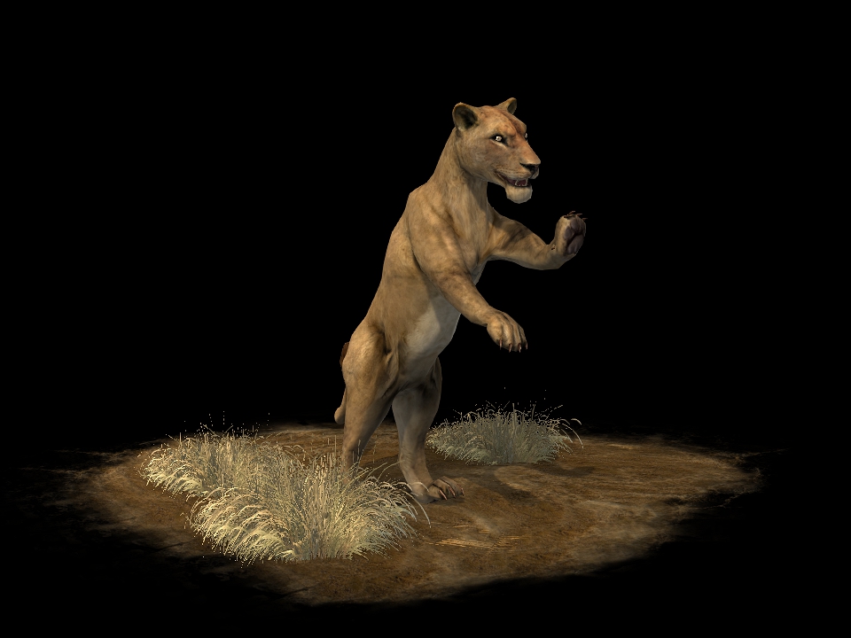 Lioness - iClone/Stage - Reallusion Content Store