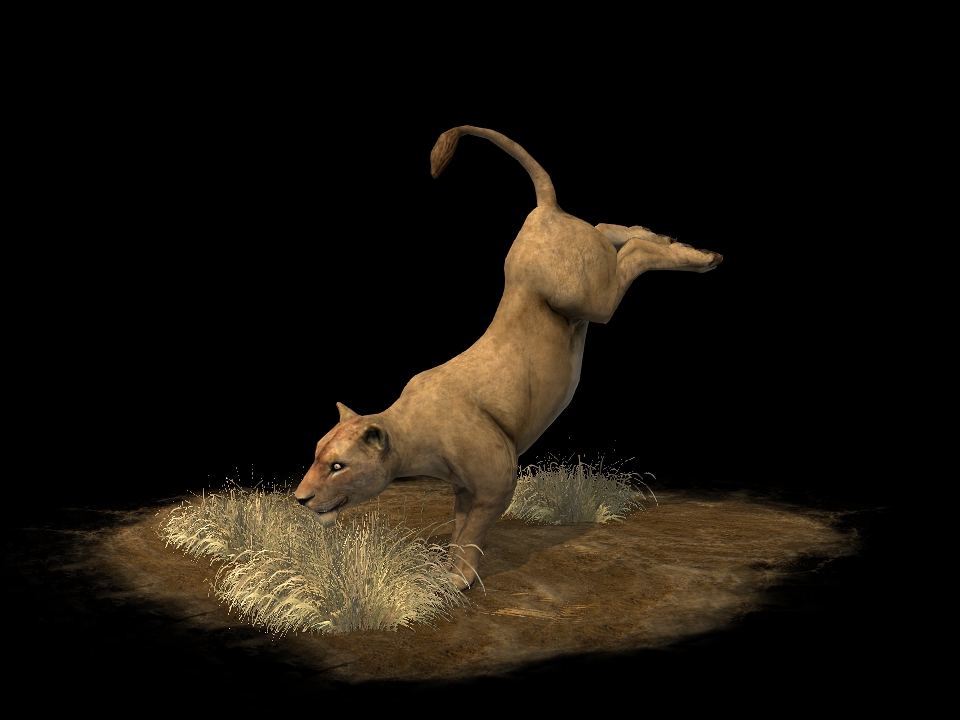 Lioness - iClone/Stage - Reallusion Content Store