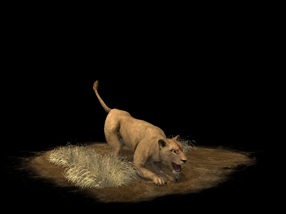 Lioness - iClone/Stage - Reallusion Content Store