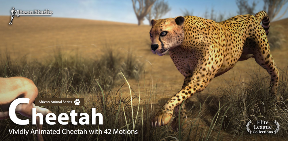 Cheetah - iClone/Stage - Reallusion Content Store
