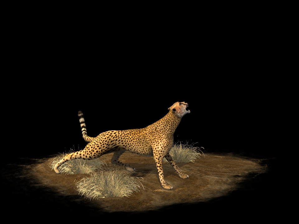 Cheetah - iClone/Stage - Reallusion Content Store