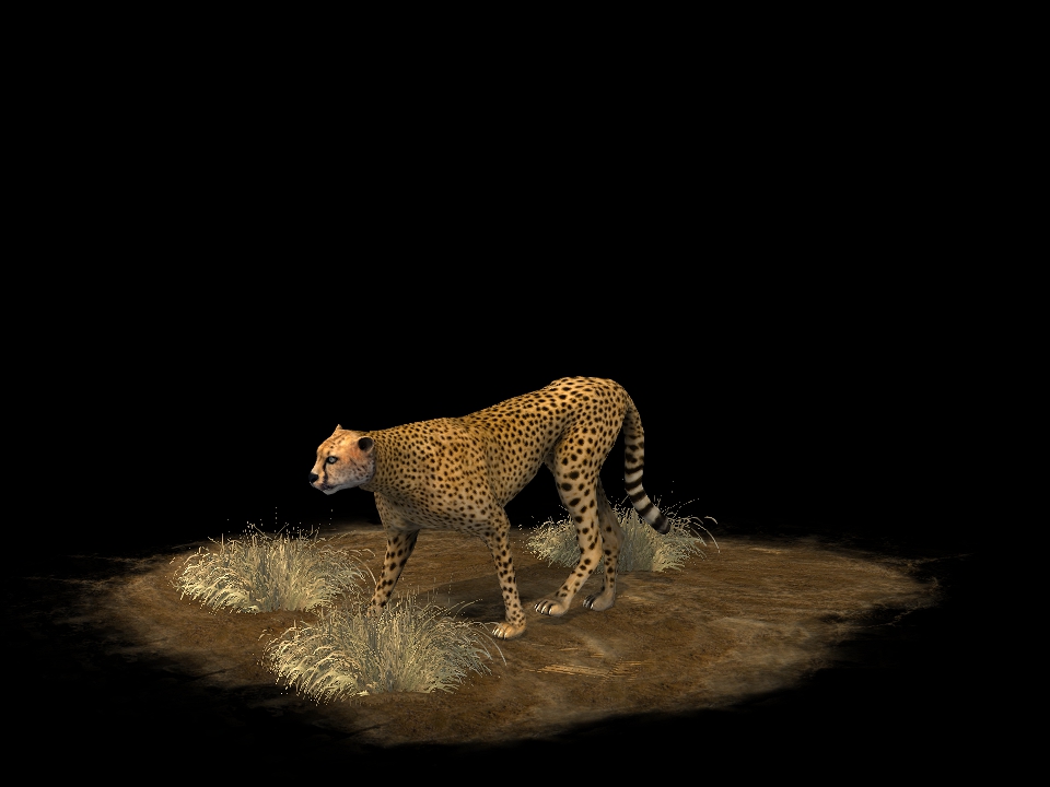 Cheetah - iClone/Stage - Reallusion Content Store