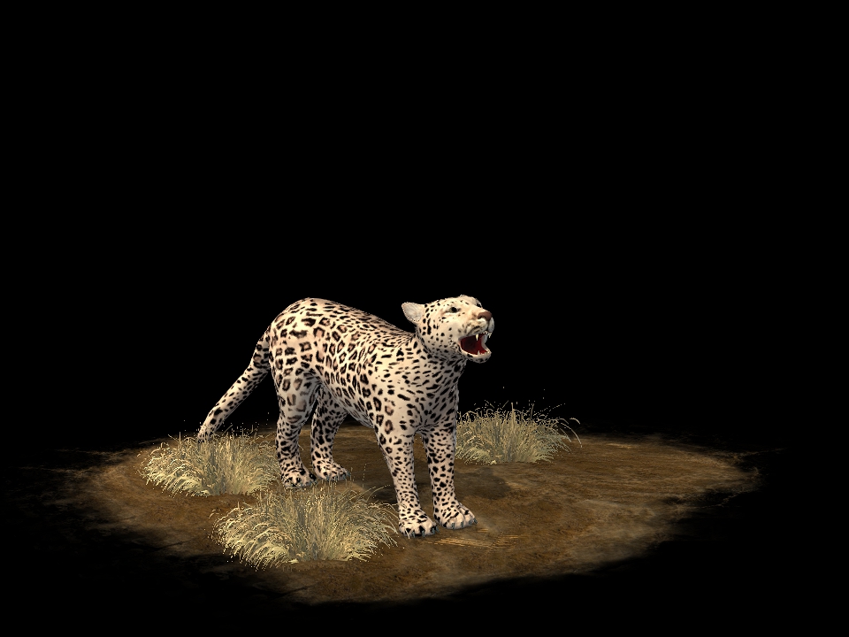 Leopard - iClone/Stage - Reallusion Content Store