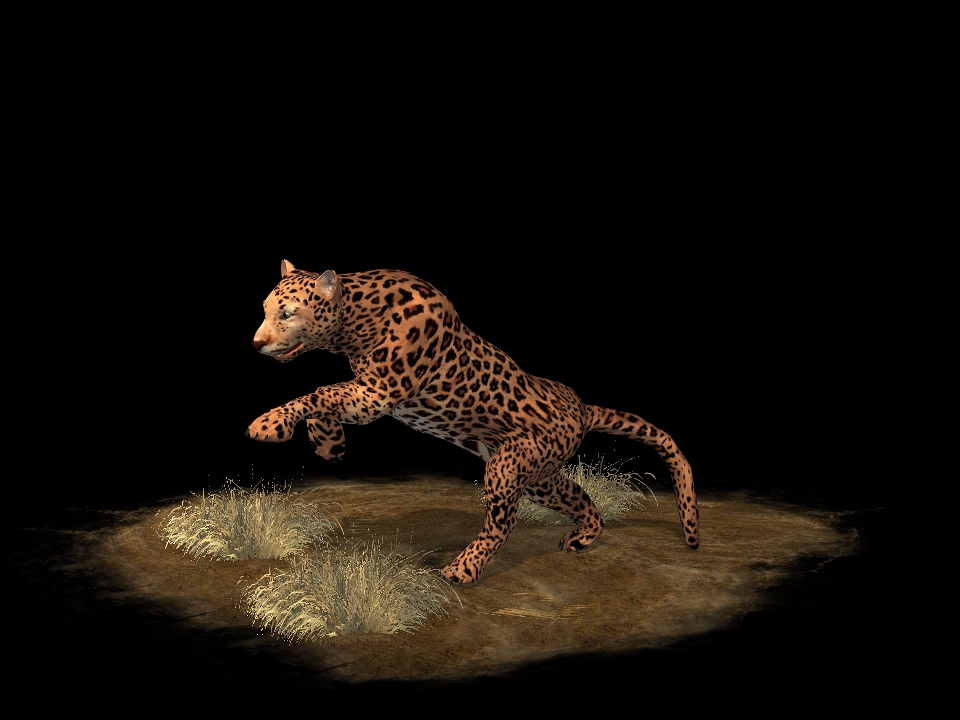 Leopard - iClone/Stage - Reallusion Content Store
