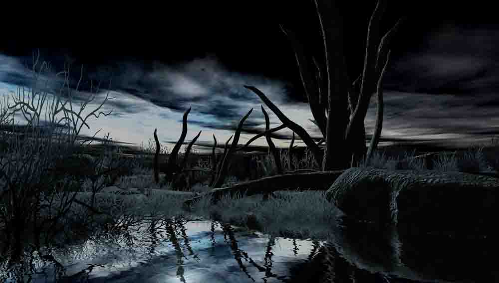 Dark Swamps Dark Swamp Water Reflects Dense Forest: