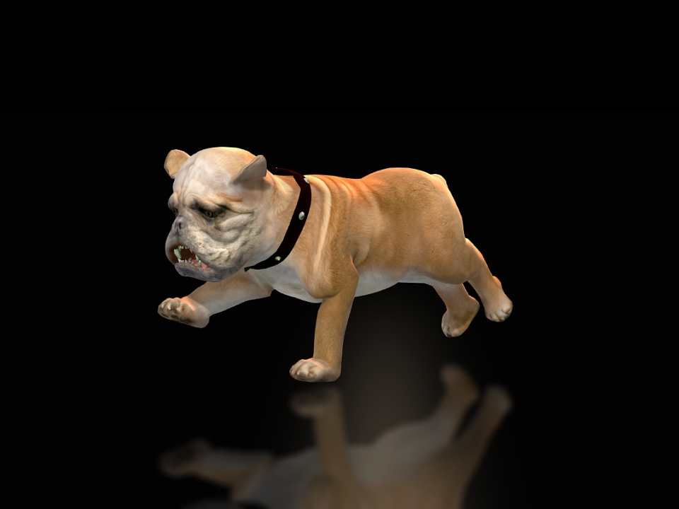 Dog Series-Bulldog - iClone/Stage - Reallusion Content Store
