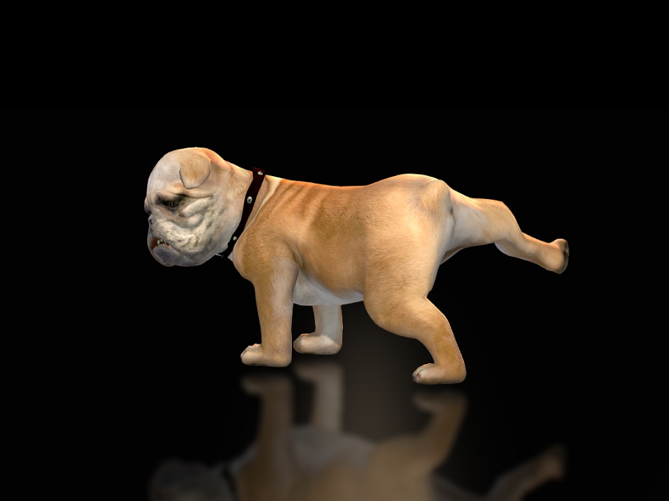 Dog Series-Bulldog - iClone/Stage - Reallusion Content Store