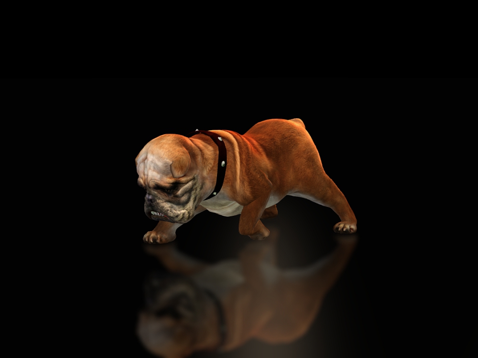 Dog Series-Bulldog - iClone/Stage - Reallusion Content Store