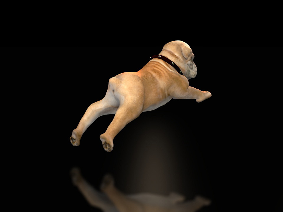 Dog Series-Bulldog - iClone/Stage - Reallusion Content Store