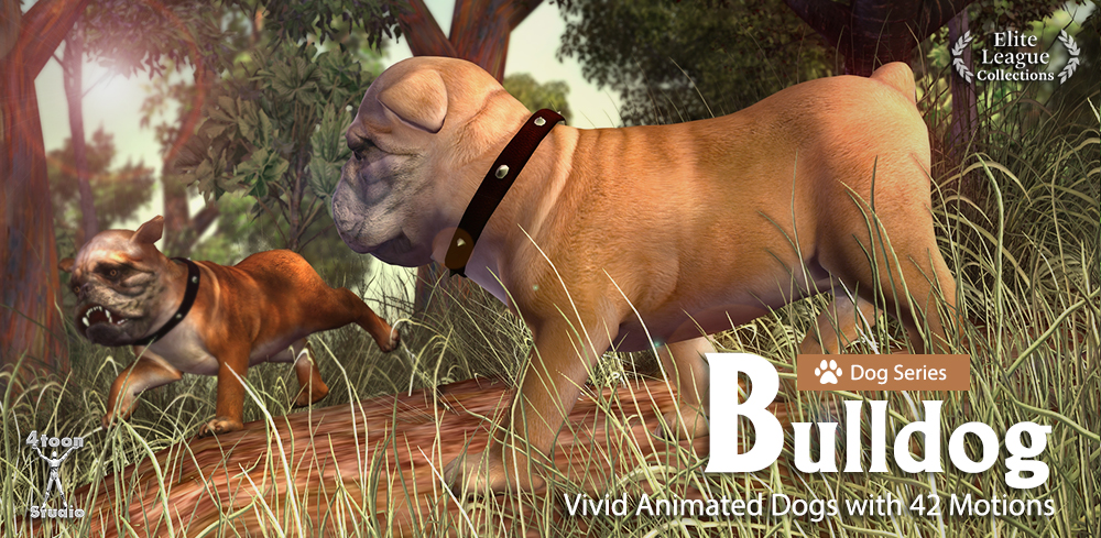 Dog Series-Bulldog - iClone/Stage - Reallusion Content Store