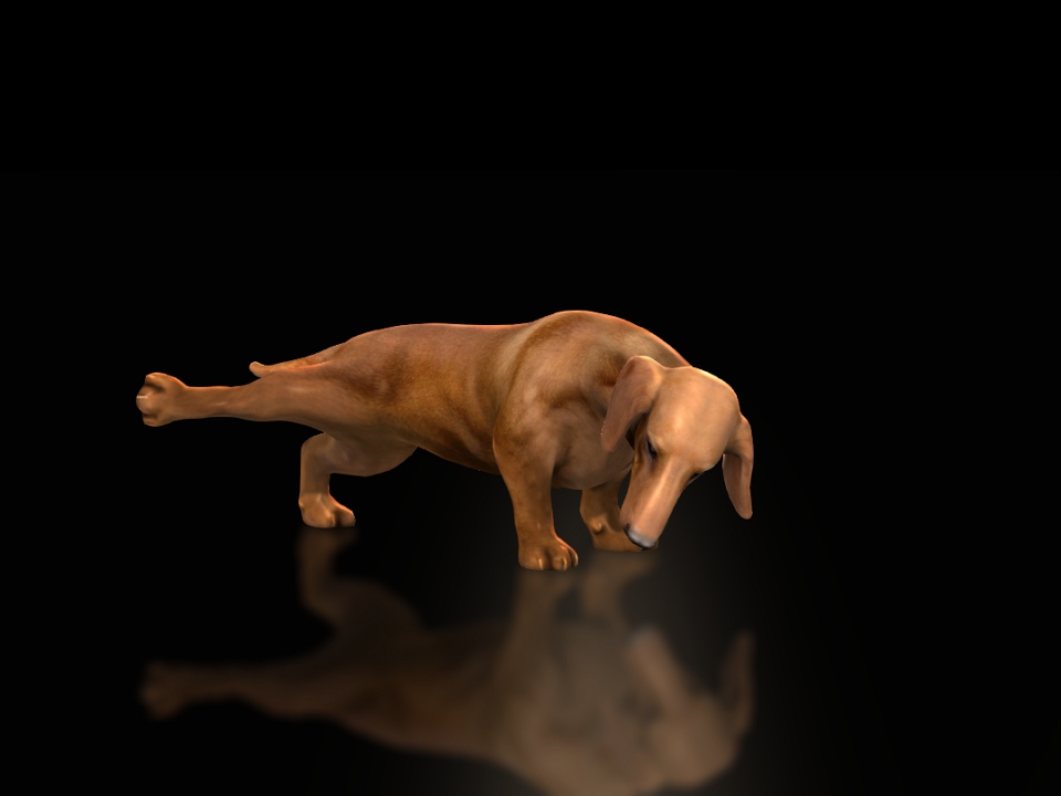 Dog Series-Dachshund - iClone/Stage - Reallusion Content Store