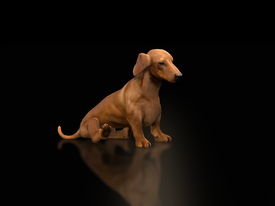 Dog Series-Dachshund - iClone/Stage - Reallusion Content Store