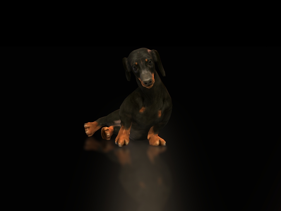 Dog Series-Dachshund - iClone/Stage - Reallusion Content Store