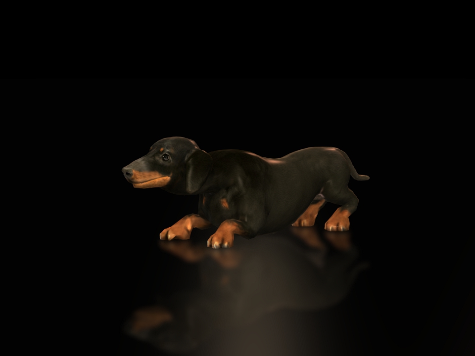 Dog Series-Dachshund - iClone/Stage - Reallusion Content Store