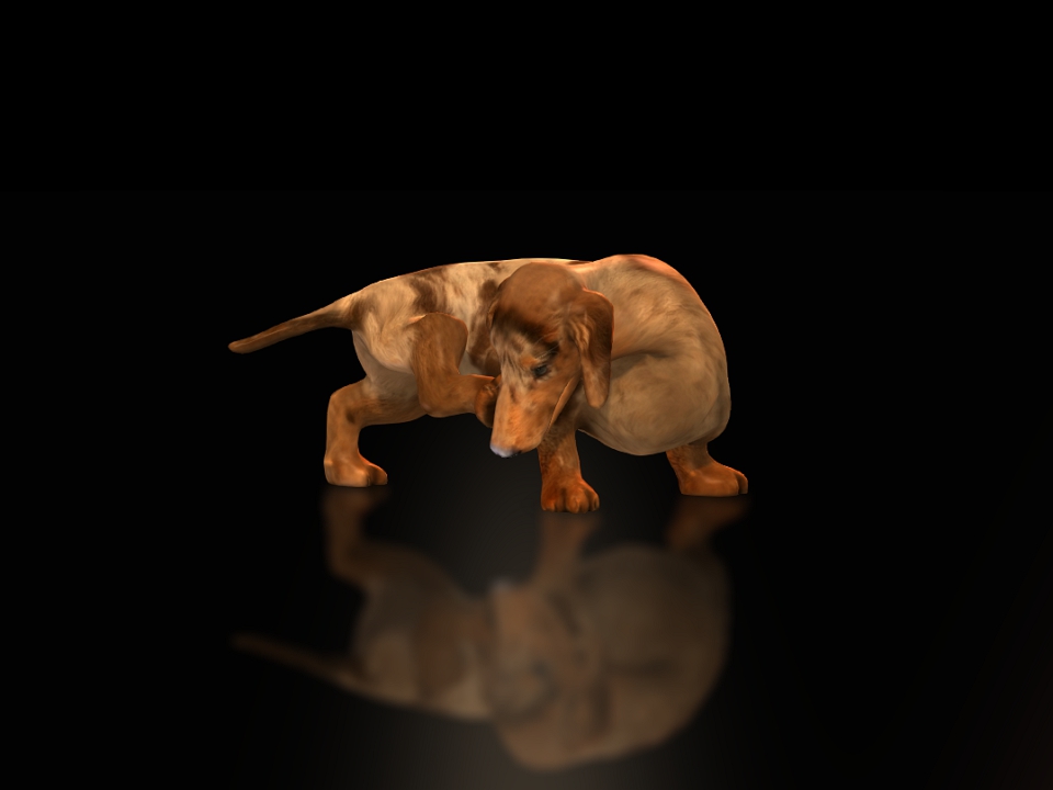 Dog Series-Dachshund - iClone/Stage - Reallusion Content Store
