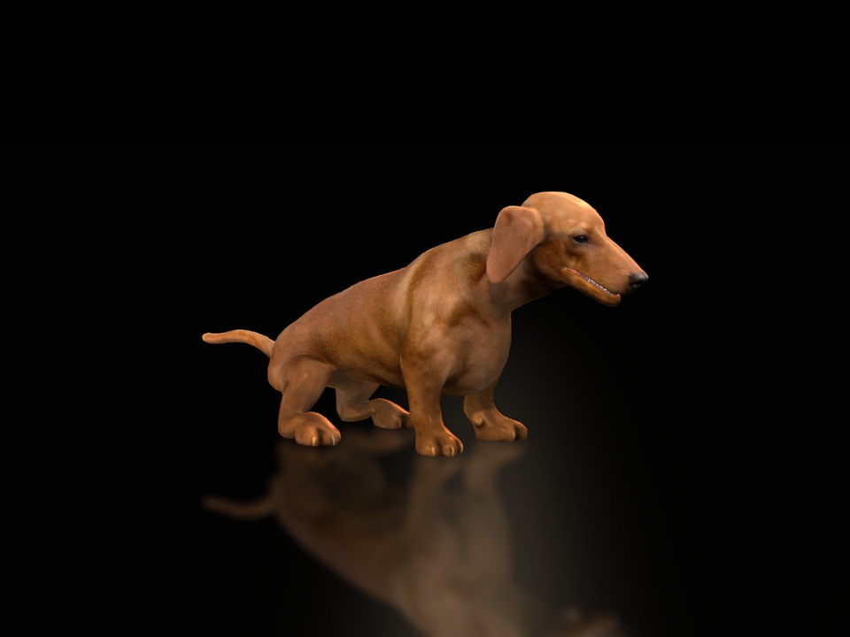 Dog Series-Dachshund - iClone/Stage - Reallusion Content Store
