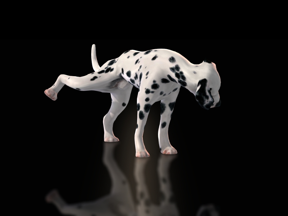 Dog Series-Dalmatian - iClone/Stage - Reallusion Content Store