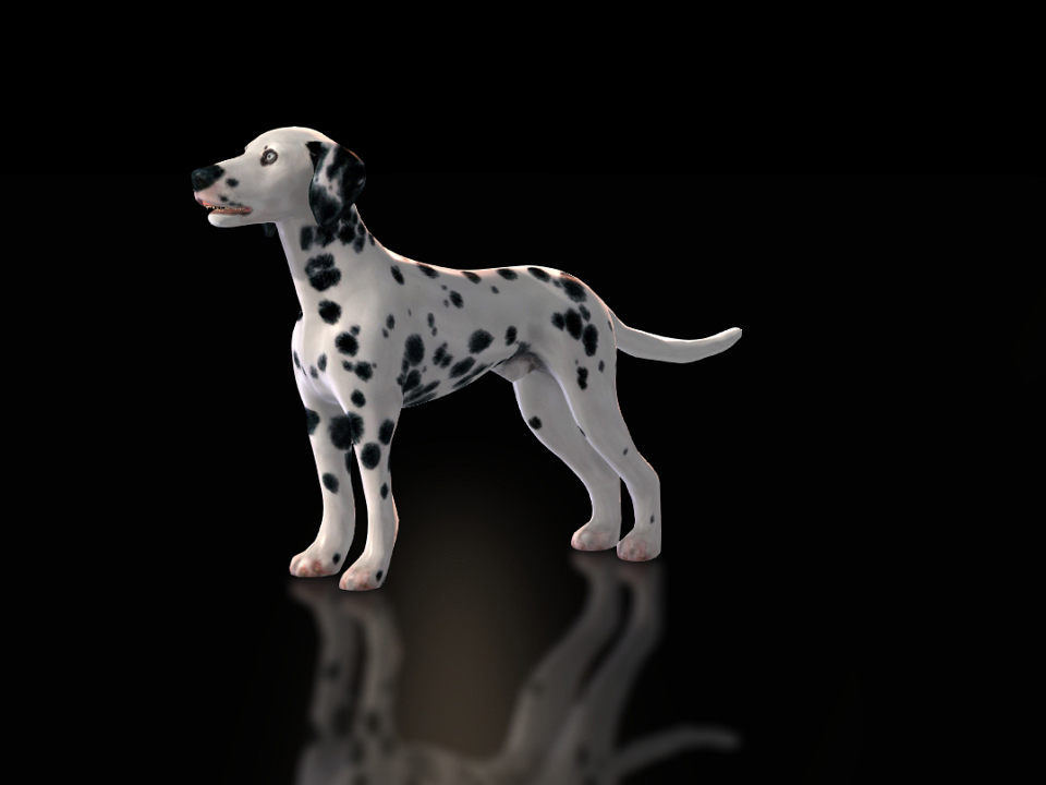 Dog Series-Dalmatian - iClone/Stage - Reallusion Content Store