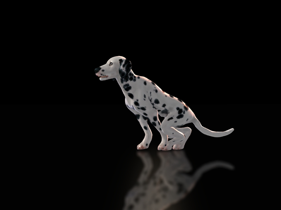 Dog Series-Dalmatian - iClone/Stage - Reallusion Content Store