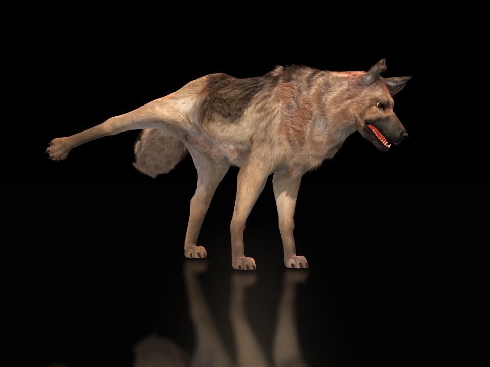 Dog Series-German Shepherd - iClone/Stage - Reallusion Content Store