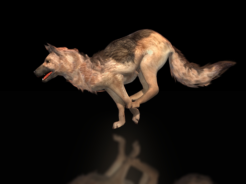 Dog Series-German Shepherd - iClone/Stage - Reallusion Content Store