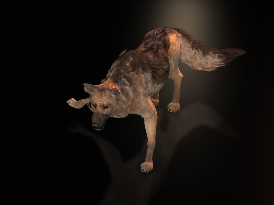 Dog Series-German Shepherd - iClone/Stage - Reallusion Content Store