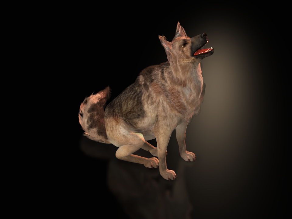 Dog Series-German Shepherd - iClone/Stage - Reallusion Content Store