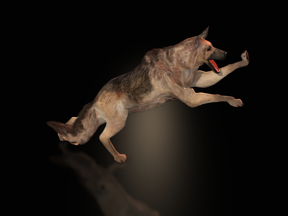 Dog Series-German Shepherd - iClone/Stage - Reallusion Content Store