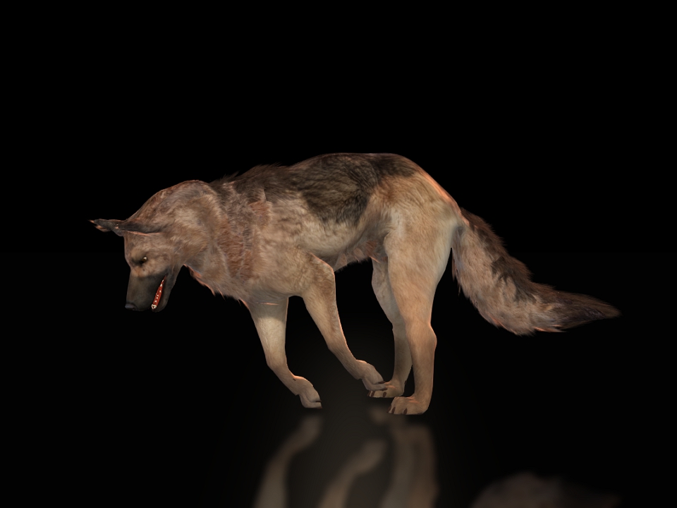 Dog Series-German Shepherd - iClone/Stage - Reallusion Content Store