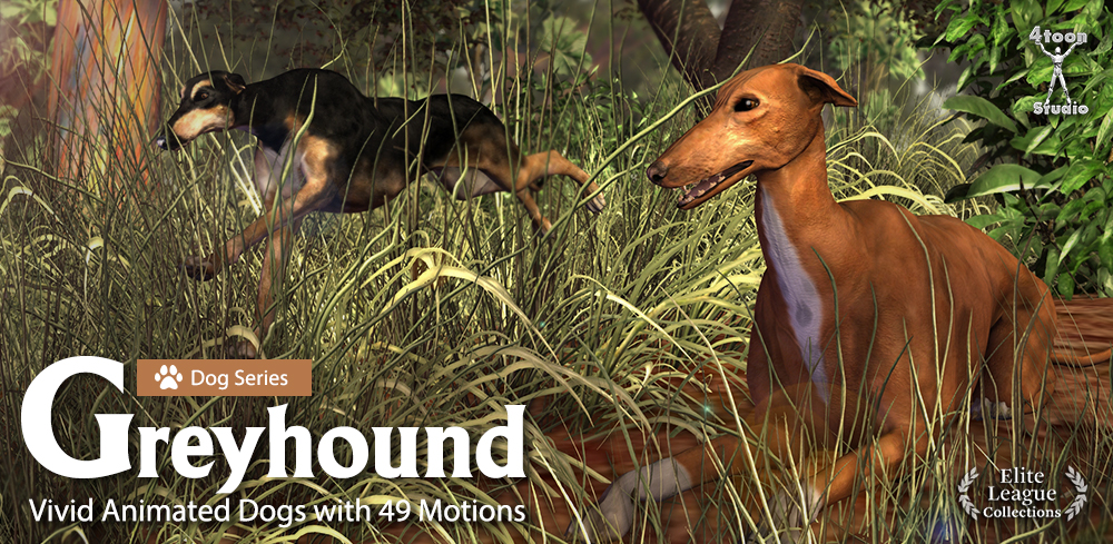 Dog Series-Greyhound - iClone/Stage - Reallusion Content Store