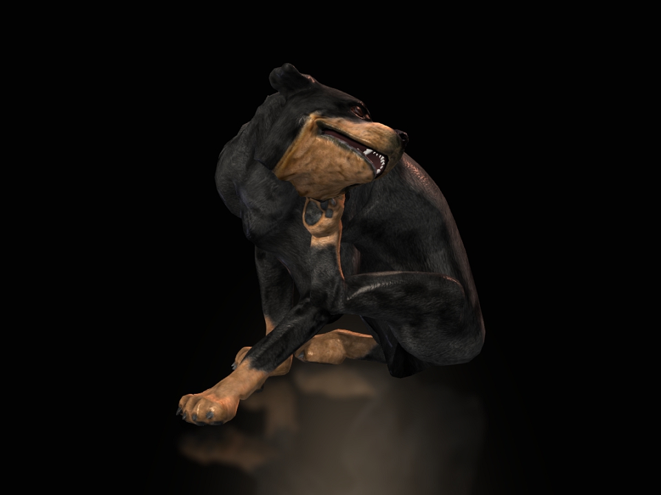 Dog Series-Rottweiler - iClone/Stage - Reallusion Content Store