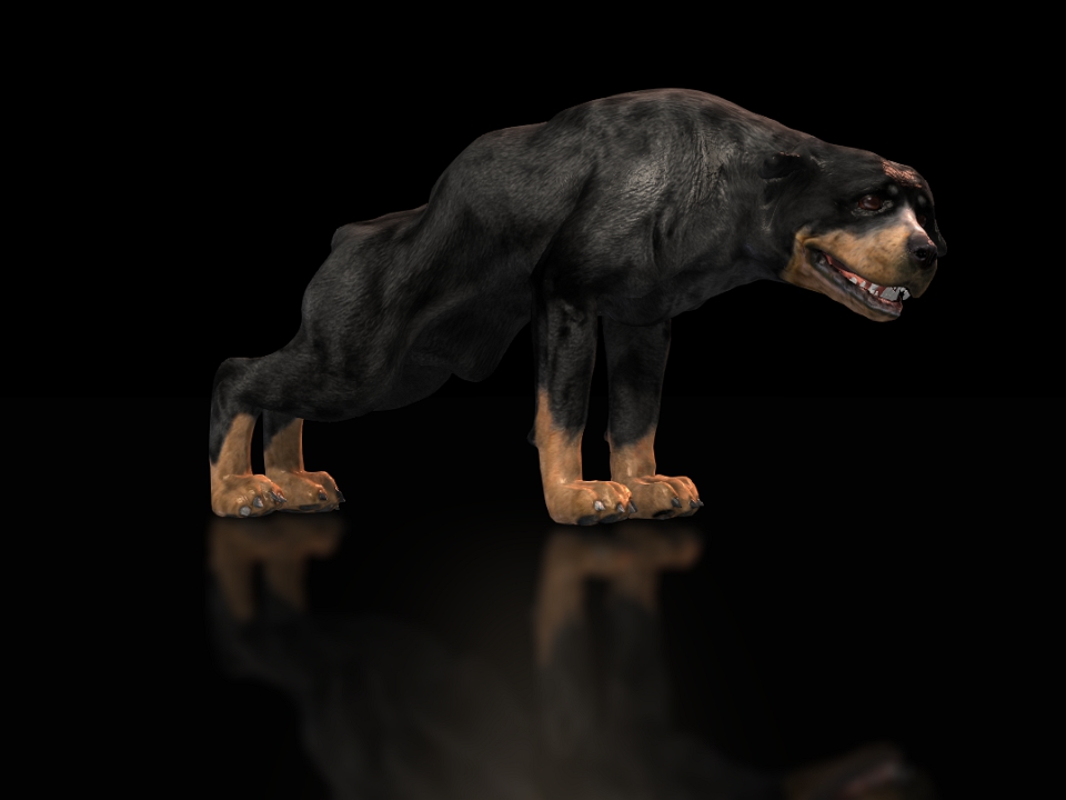 Dog Series-Rottweiler - iClone/Stage - Reallusion Content Store