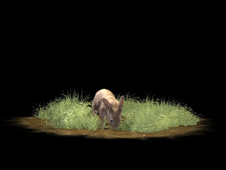 Farm Animal Series-Rabbit - iClone/Stage - Reallusion Content Store