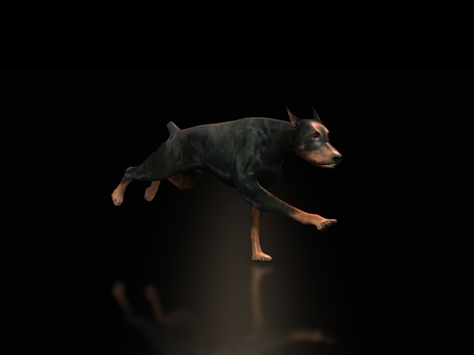 Dog Series-Doberman - iClone/Stage - Reallusion Content Store