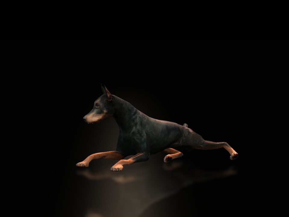 Dog Series-Doberman - iClone/Stage - Reallusion Content Store