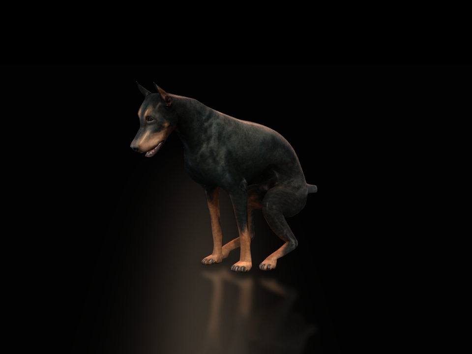 Dog Series-Doberman - iClone/Stage - Reallusion Content Store