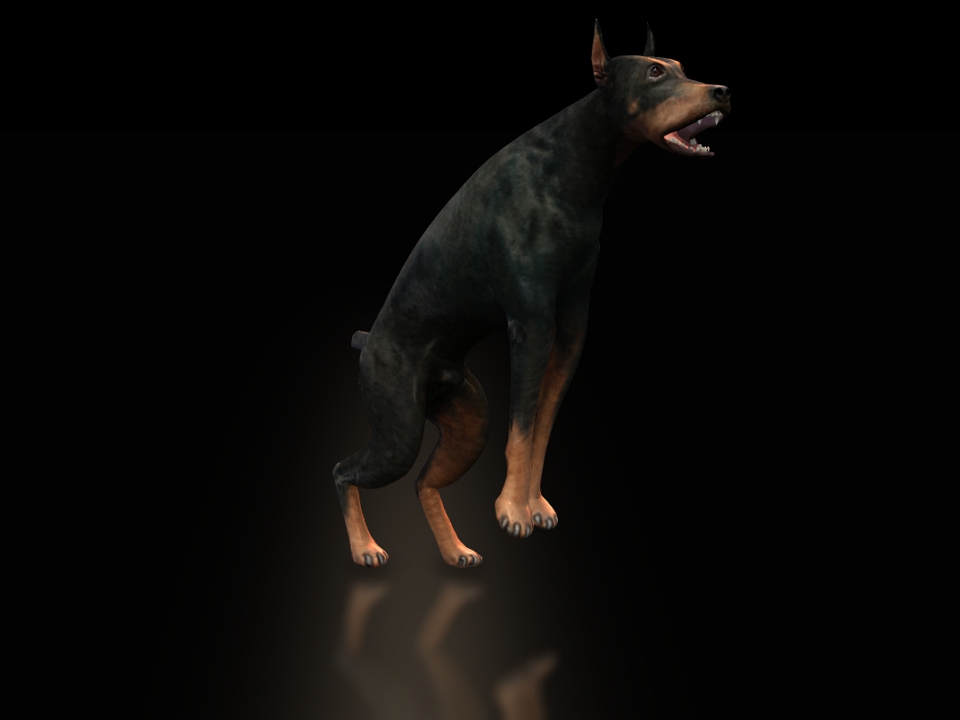 Dog Series-Doberman - iClone/Stage - Reallusion Content Store