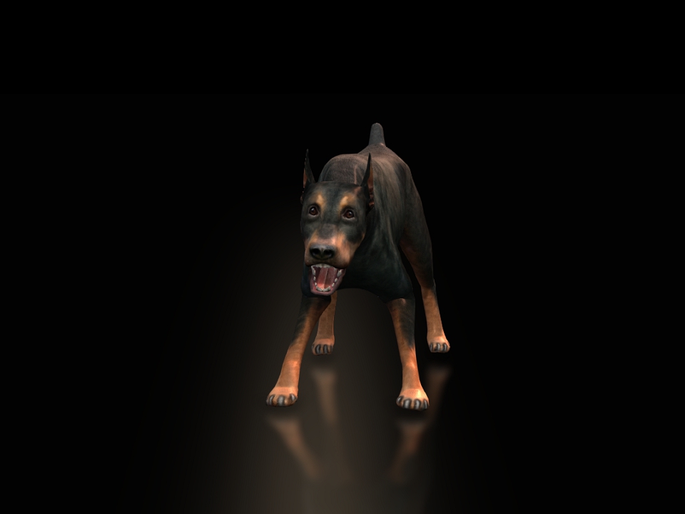 Dog Series-Doberman - iClone/Stage - Reallusion Content Store