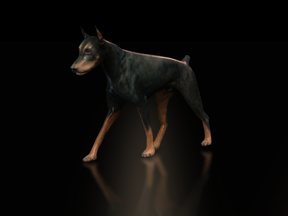 Dog Series-Doberman - iClone/Stage - Reallusion Content Store