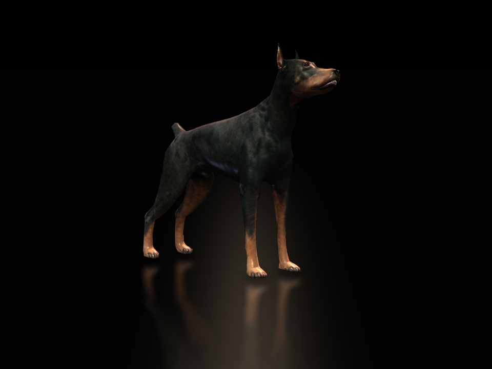 Dog Series-Doberman - iClone/Stage - Reallusion Content Store