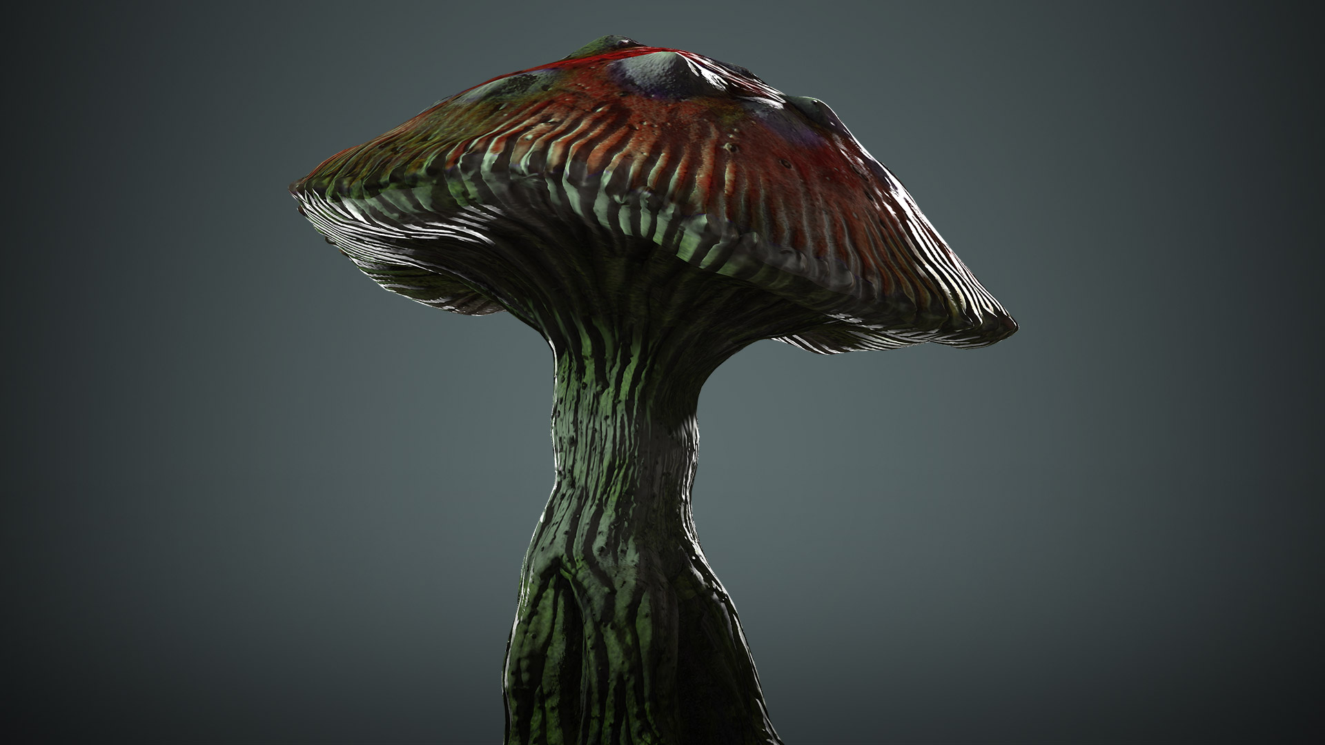 Mushroom Pack - iClone/Stage - Reallusion Content Store