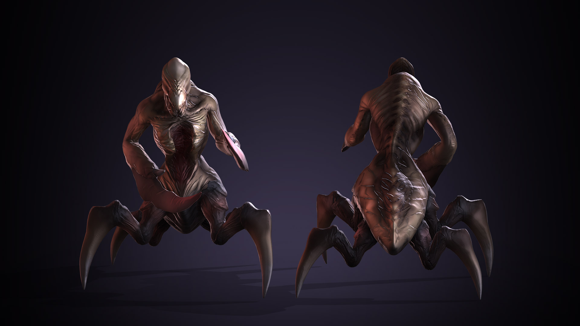 Creature Spider - iClone/Stage - Reallusion Content Store
