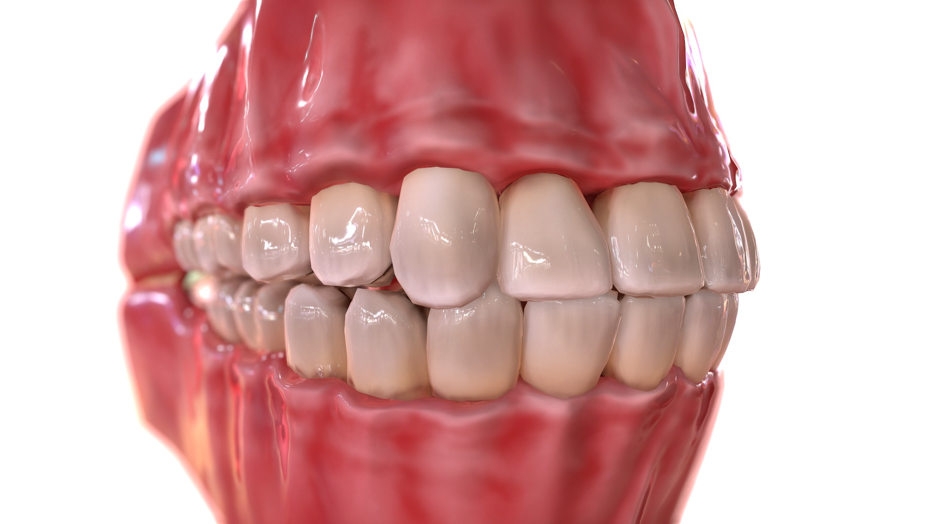 HQ Humans Teeth - iClone/Stage - Reallusion Content Store