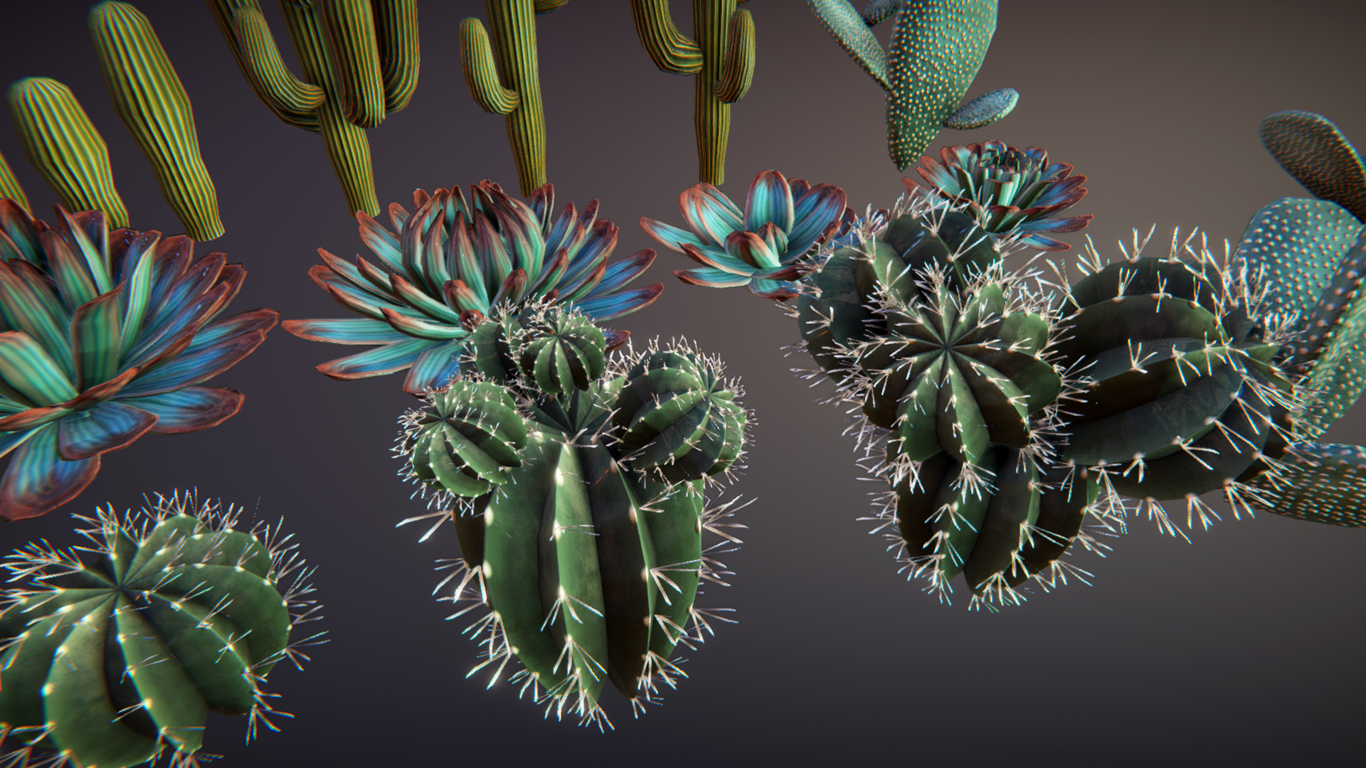 Cactuses - iClone/Stage - Reallusion Content Store