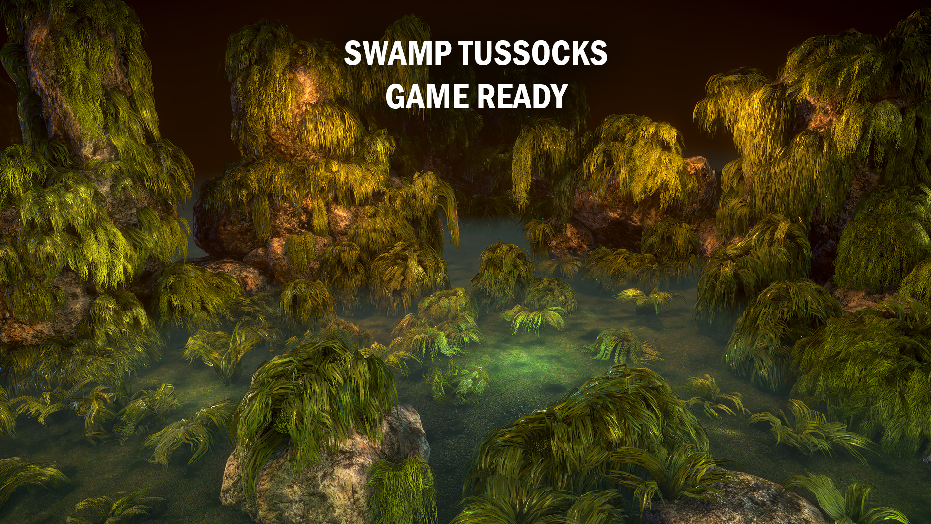 Swamp Tussocks - iClone/Stage - Reallusion Content Store