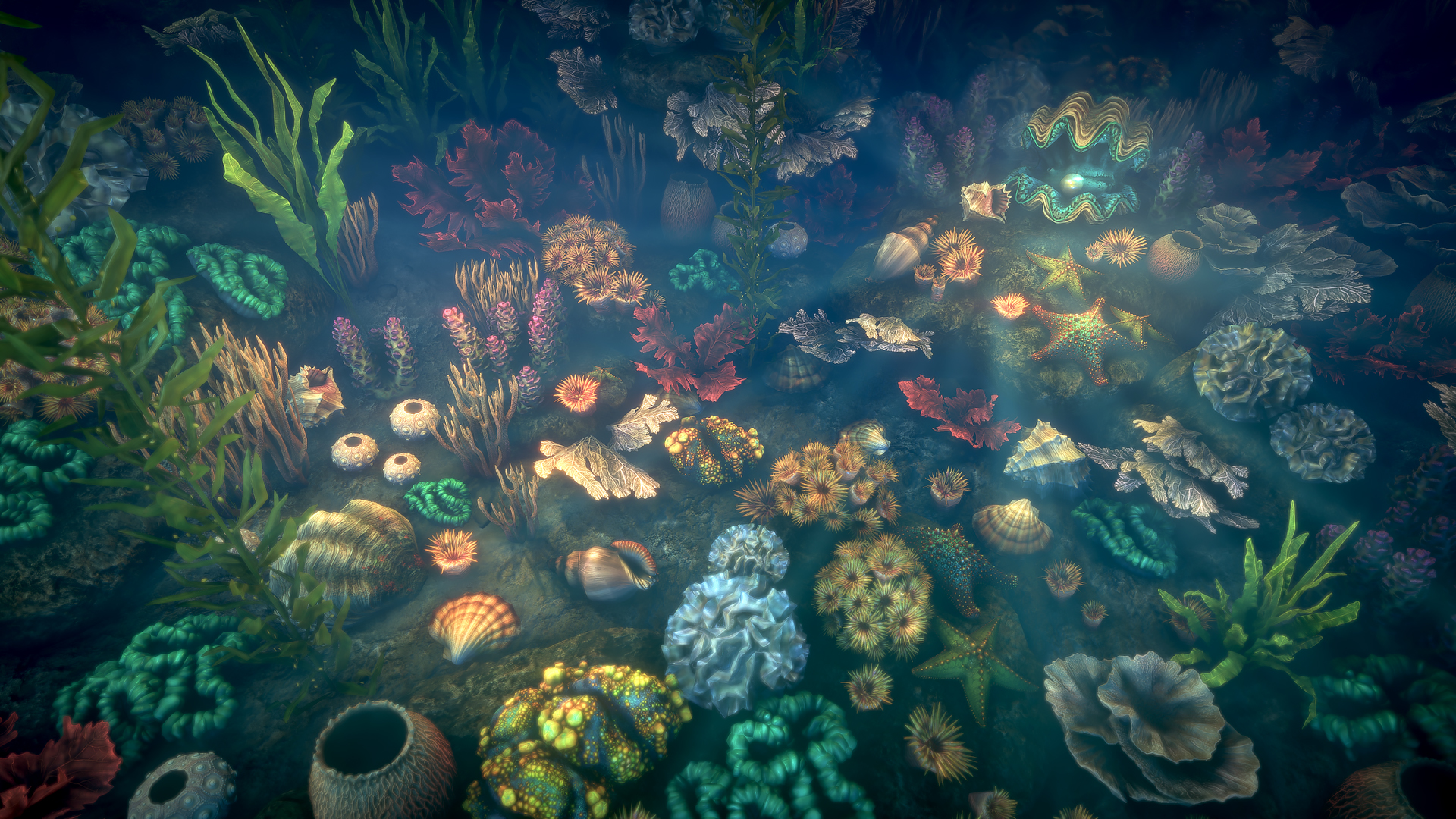 Corals 2 - iClone/Stage - Reallusion Content Store