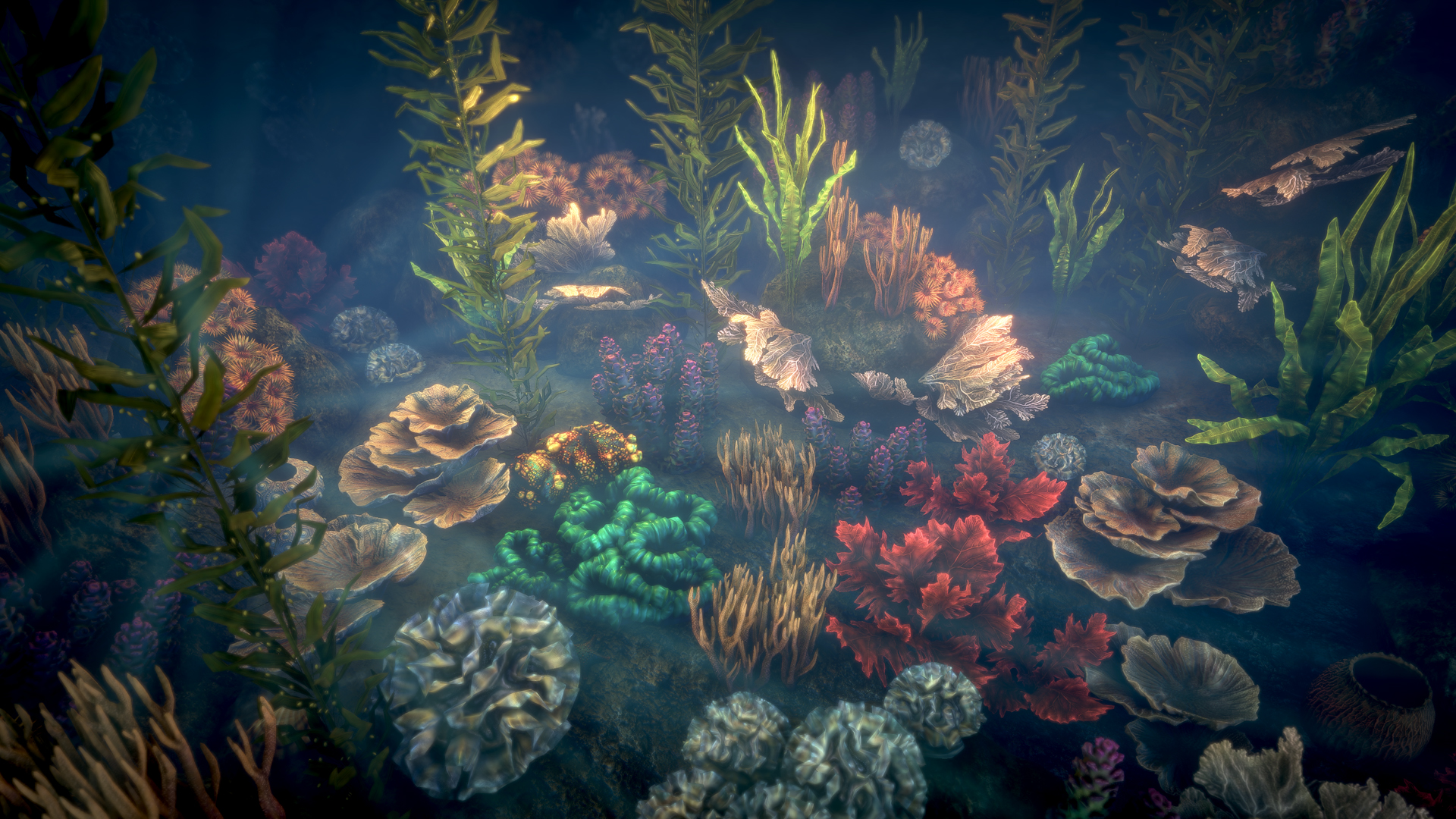 Corals 2 - iClone/Stage - Reallusion Content Store