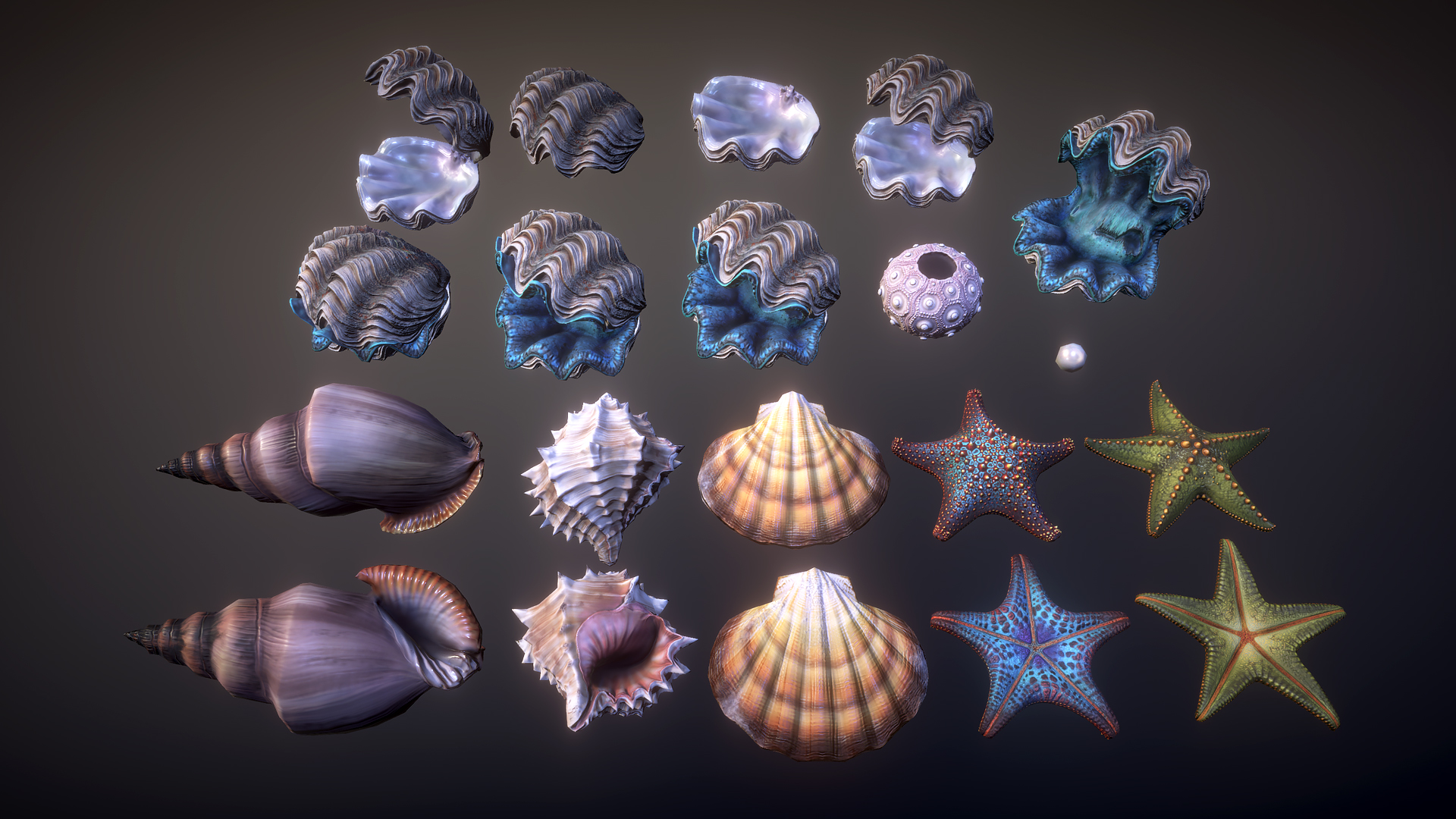 Corals 2 - iClone/Stage - Reallusion Content Store